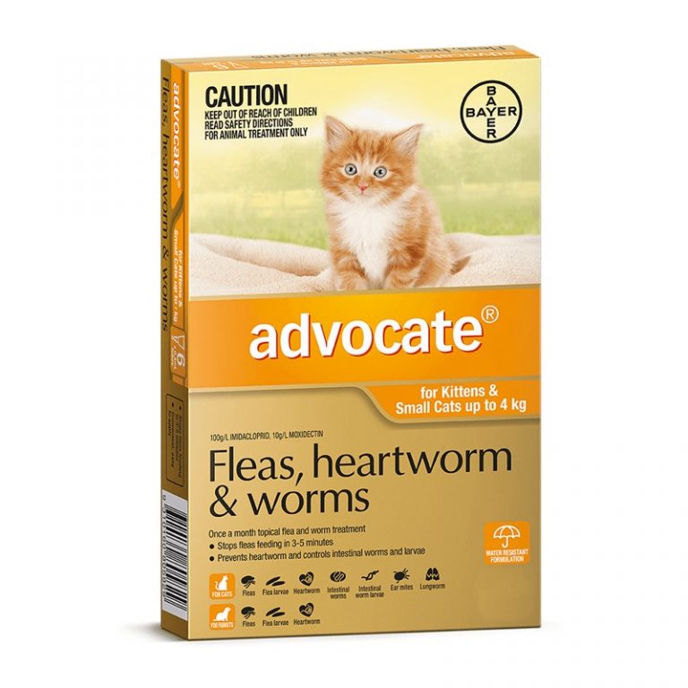 Bayer Advocate for Cats up to 4kg 3pcs - papapetshop.com